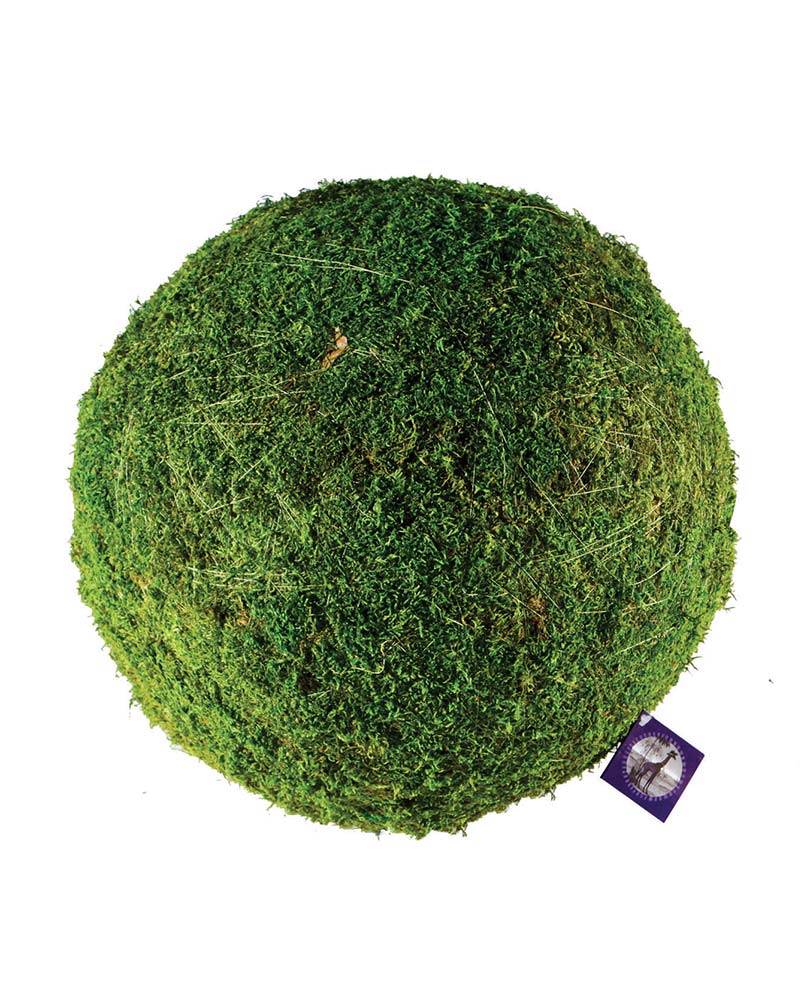 Moss Balls – Courtyard by Chuck Chewning